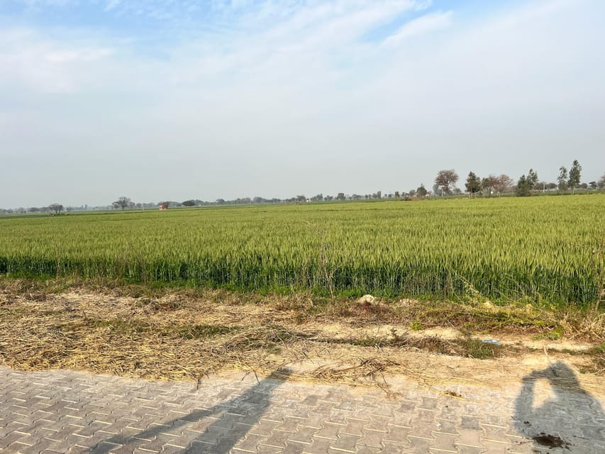 Experience the Real India : Once in a Lifetime Village Tour | Power ...