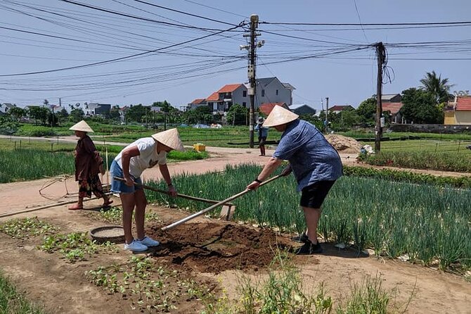Pottery Making - Lantern Making-Basket Boat Ride-Vegetable Faming ...