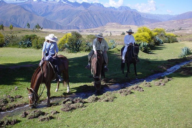 Private Tour: Maras Moray Visit and Peruvian Paso Horseback Riding ...