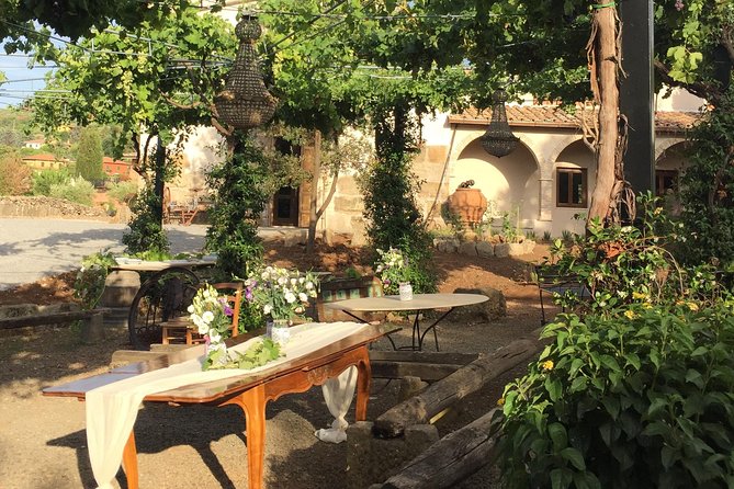 Private Tour Of Roman Countryside With Winetasting And Lunch