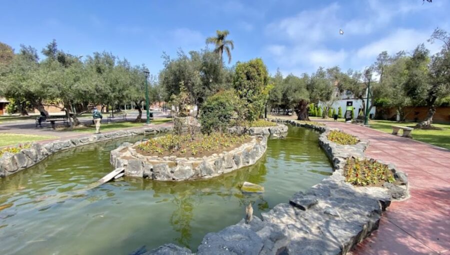 Take an Hour Stroll Around the Hidden Gems of El Olivar Park | Power ...