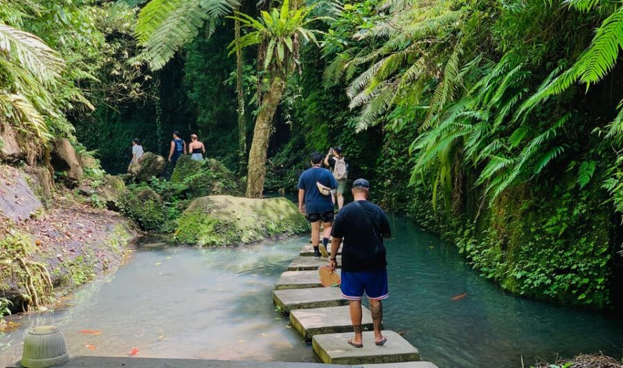 Ubud: Rice Terrace, Waterfall, Water Temple & More | Power Traveller