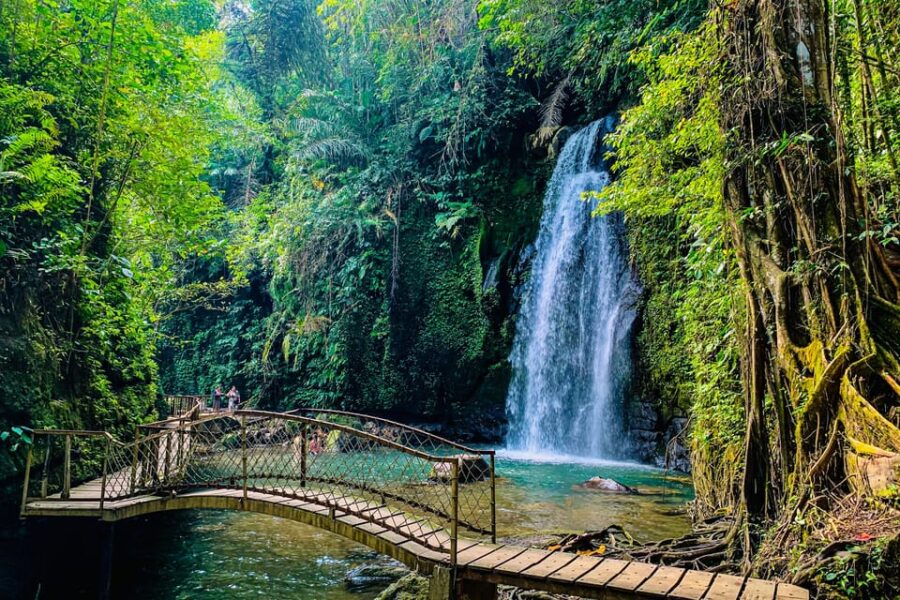 Ubud: Waterfalls, Sacred Monkey Forest & Rice Terraces Tour | Power ...