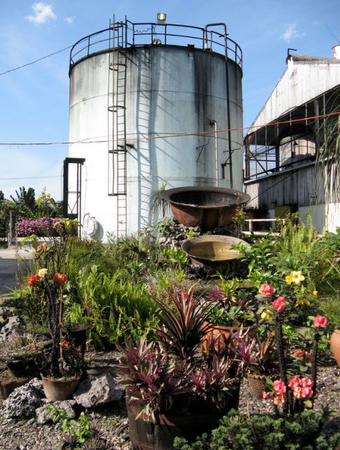 YS Falls & Appleton Estate Rum Tour From Montego Bay | Power Traveller