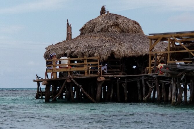 13. Appleton Rum Estate & Black River Safari Private Guided Combo All ...