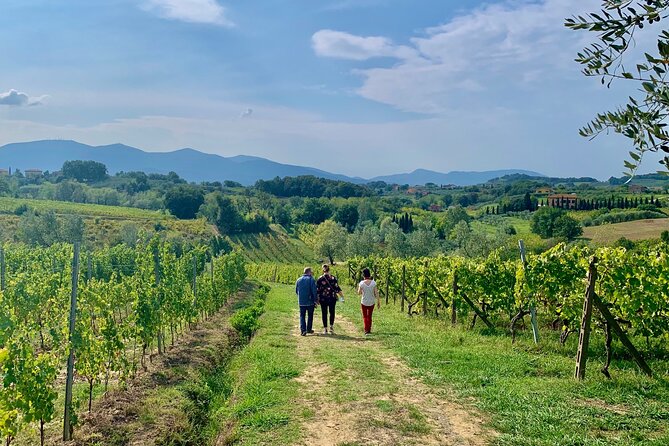 Chianti Wine Tasting Tour From Florence (2 Wineries) | Power Traveller