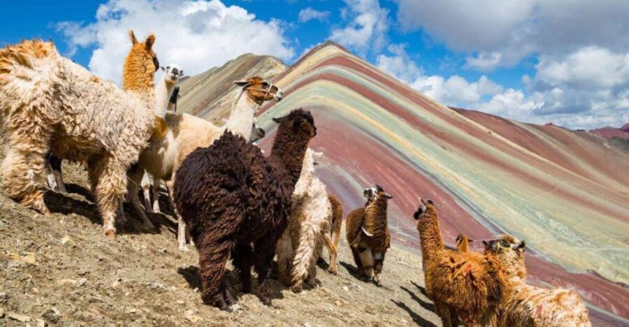 Cusco: Excursion to Rainbow Mountain | Full Day | | Power Traveller