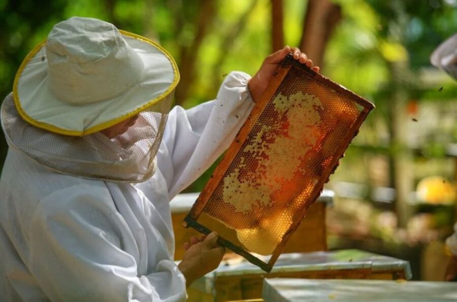 Eco Tour Finder | Power Traveller