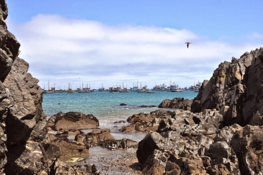 From Piura || Full Day Excursion To Paita And Colán