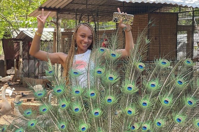 Montego Bay Exotic Herbs, Birds and Animals Interaction Tour | Power ...