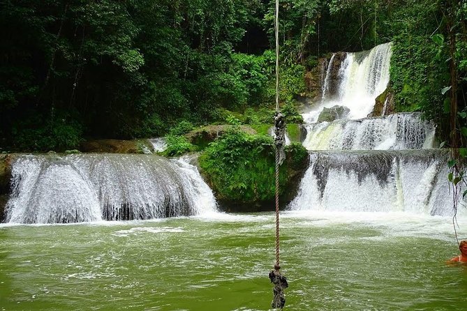 Pelican Bar and Ys Falls Private Tour | Power Traveller