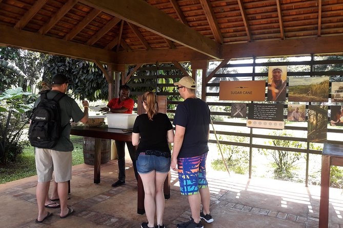 Private Appleton Estate Rum Tour From Montego Bay | Power Traveller