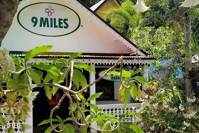 Private Tour of Bob Marley Nine Miles From Montego Bay | Power Traveller
