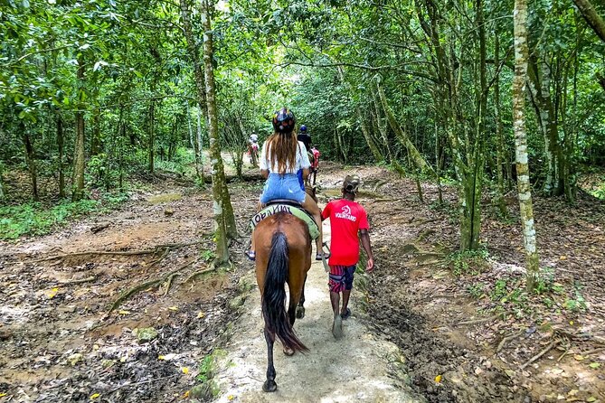 Punta Cana Guided Tour to Waterfall El Limon and Bacardi Island | Power ...