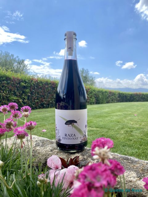 Quinta Da Raza Natural Wines | Power Traveller