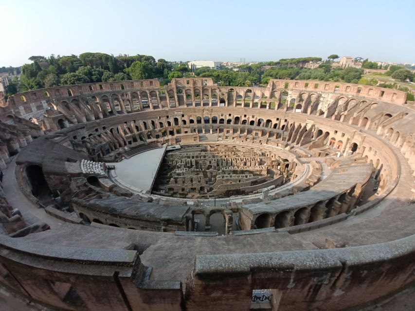 Rome: Colosseum, Palatine Hill, & Roman Forum Walking Tour | Power ...