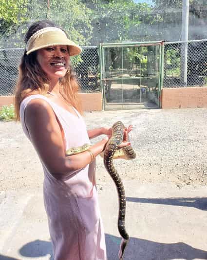 Swamp Safari and Rose Hall Great House Day Tour | Power Traveller