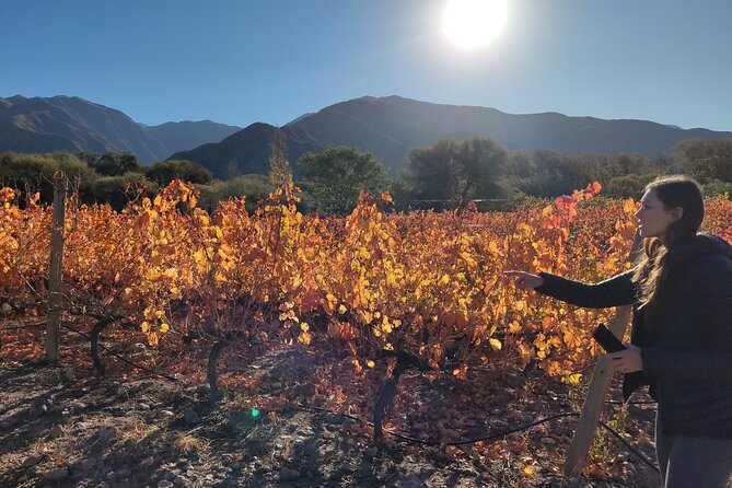 Velazco Mountains Trekking | Power Traveller