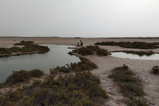 Discover the Unusual Sites of Dakhla in a 4×4 With a Local Guide ...