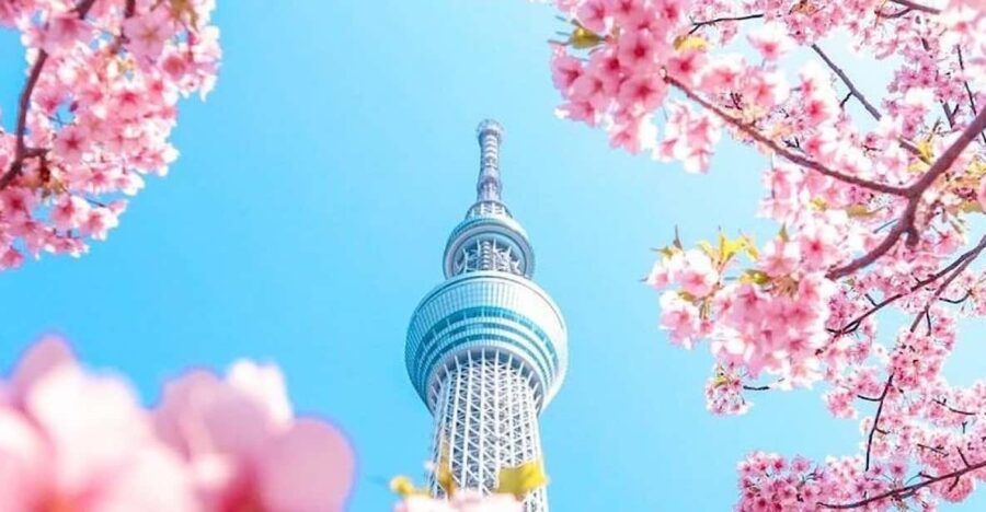 Tokyo Private Customizable Day Tour With a Guide | Power Traveller